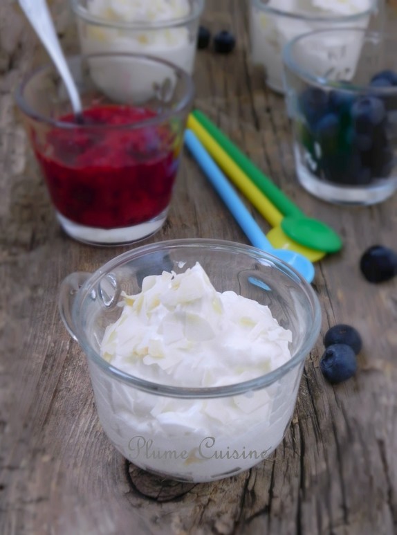 Mousse au coco | Une Plume dans la Cuisine | mousse exotique